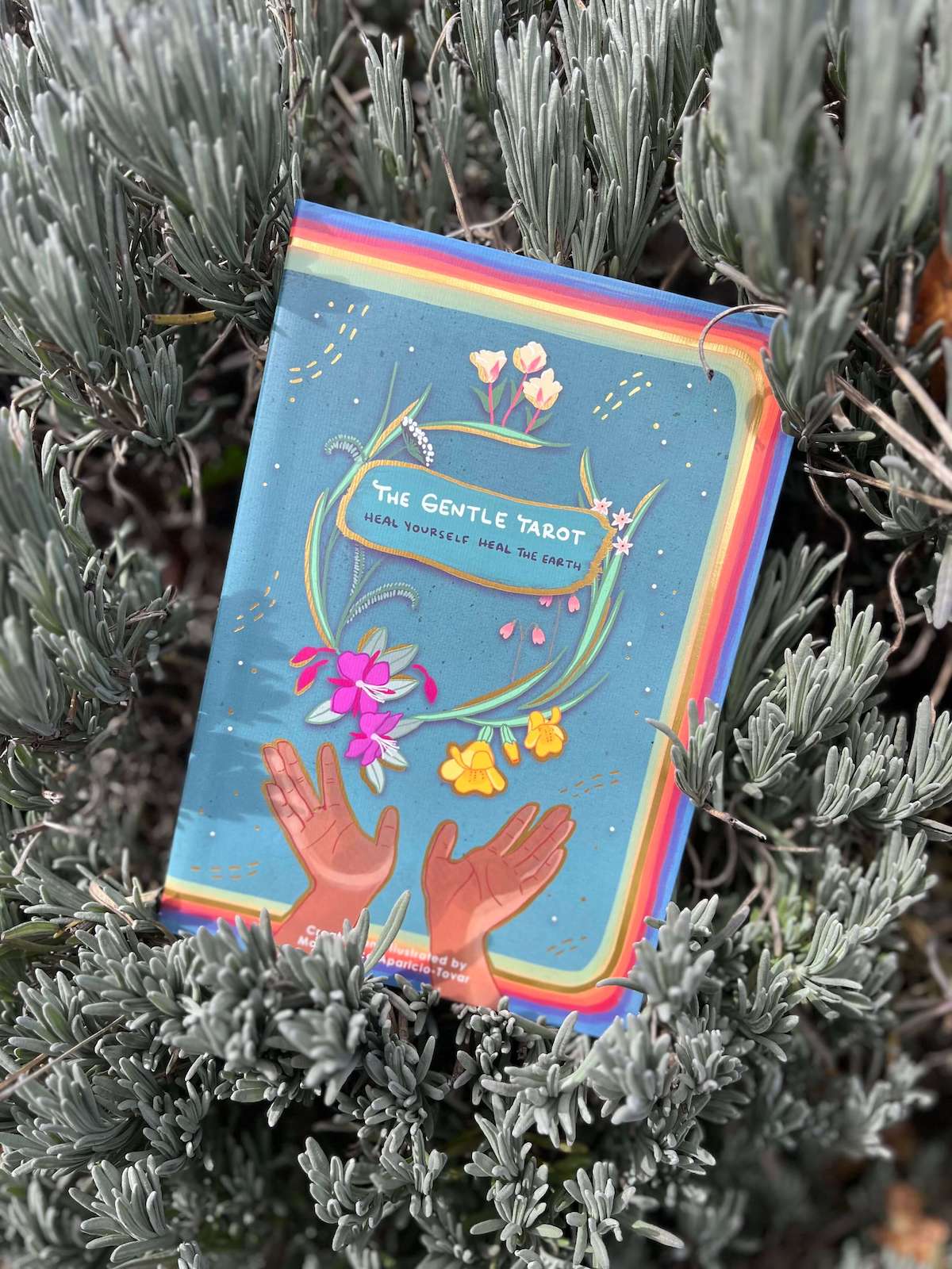 The Gentle Tarot Pocket Deck